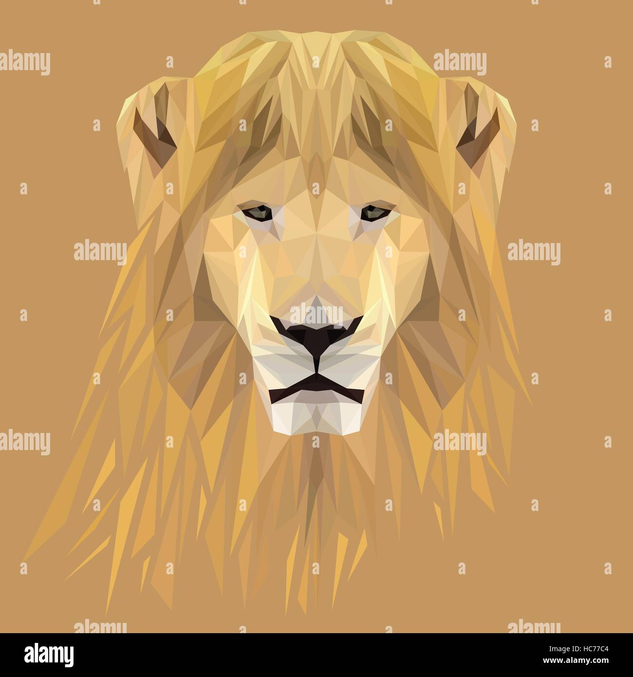 Lion low poly design. Triangle vector illustration Stock Vector Image ...