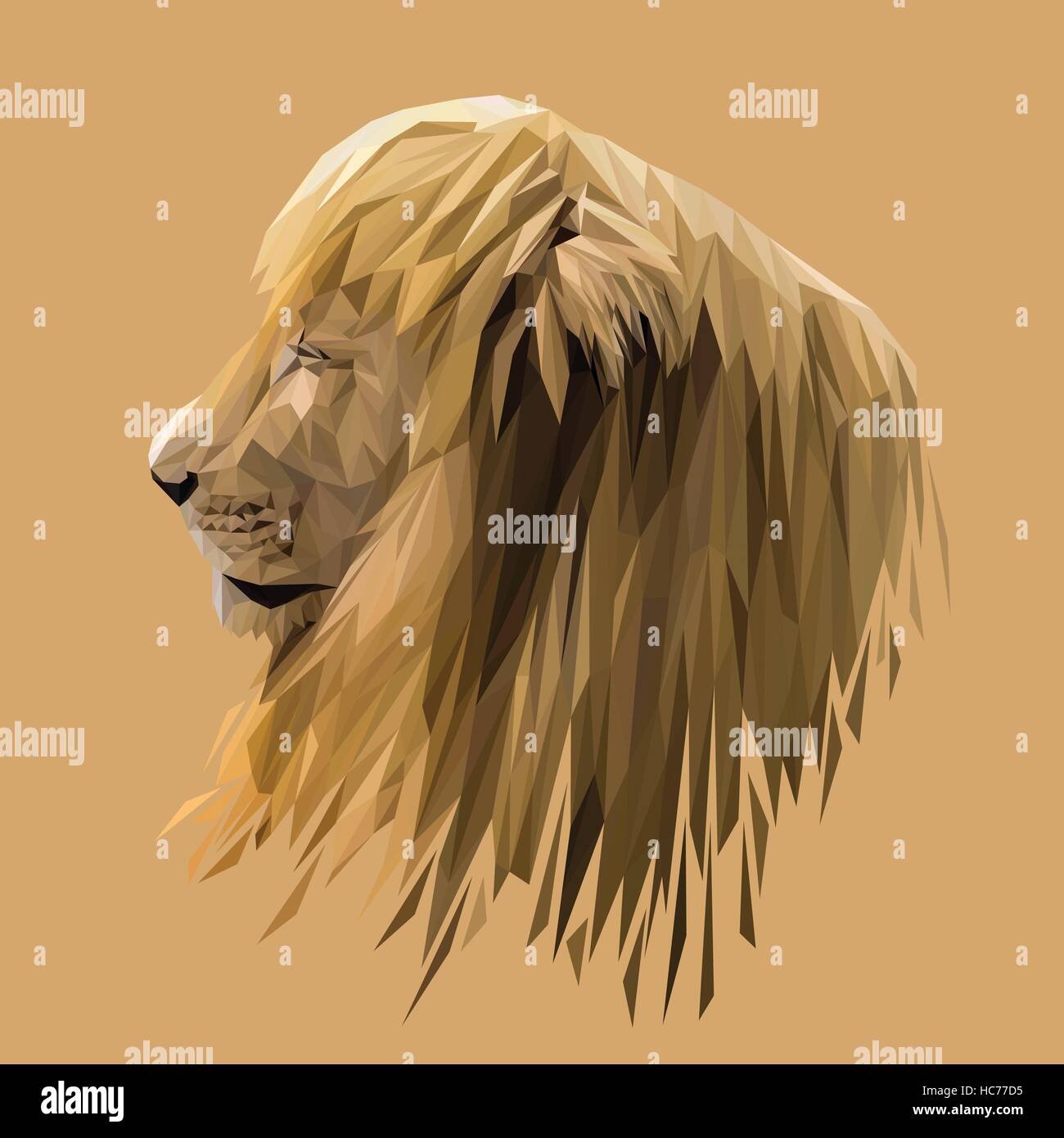 Lion low poly design. Triangle vector illustration Stock Vector Image ...