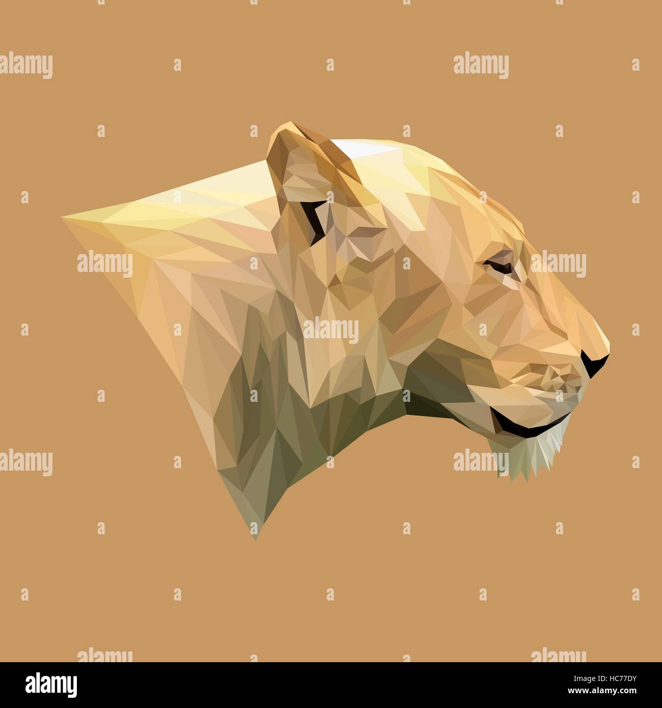 Lioness low poly design. Triangle vector illustration Stock Vector ...