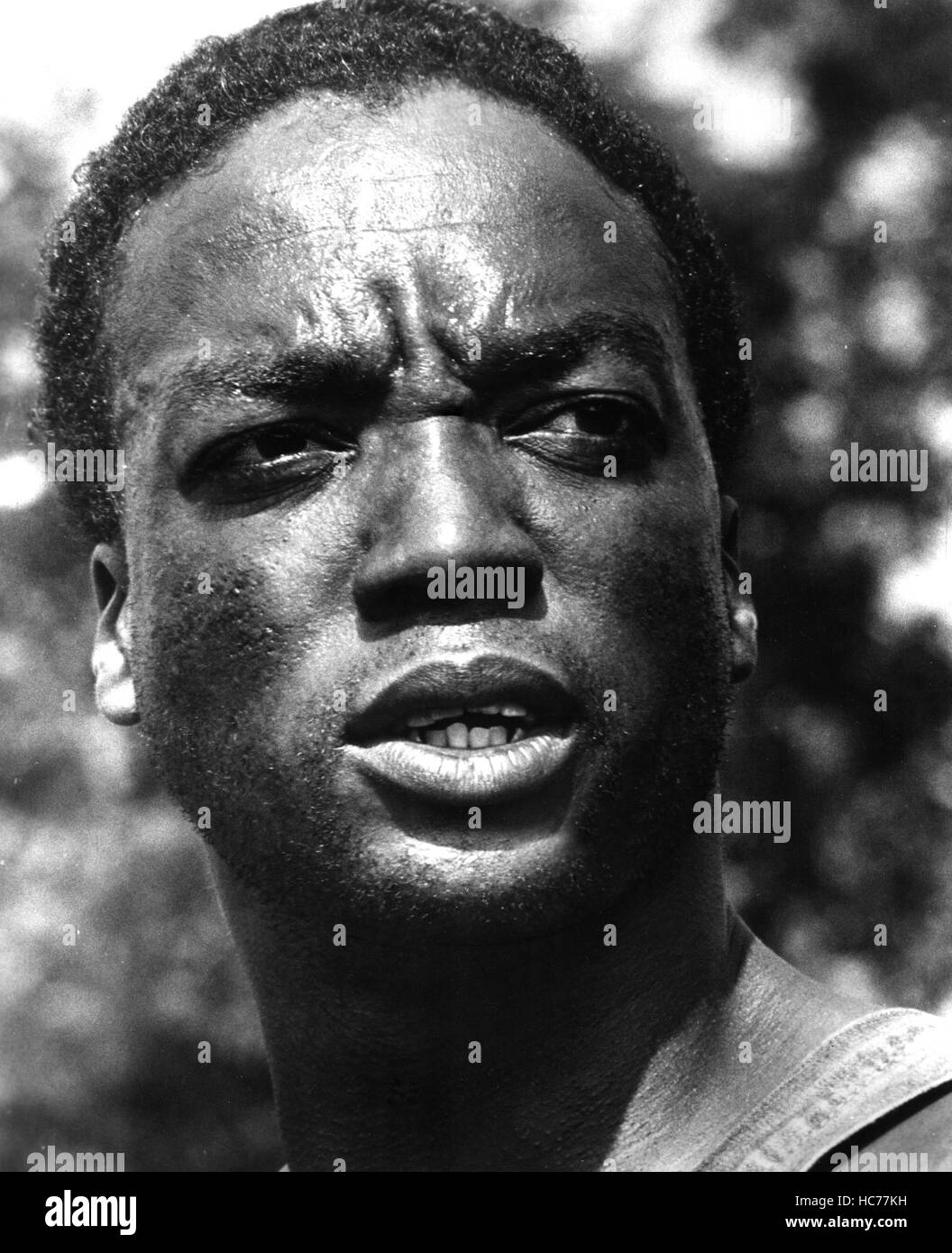 SOUNDER, Paul Winfield, 1972 Stock Photo - Alamy