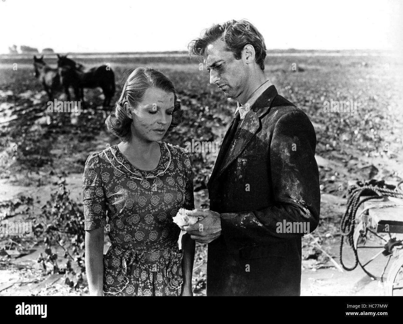 THE SOUTHERNER, Betty Field, Zachary Scott, 1945 Stock Photo - Alamy
