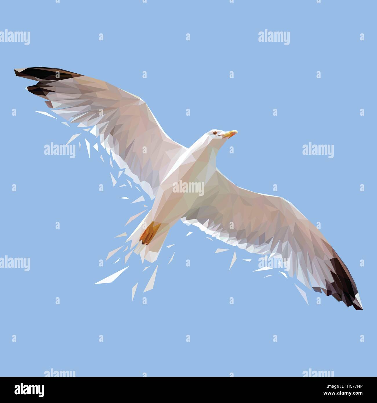Seagull bird low poly hi-res stock photography and images - Alamy