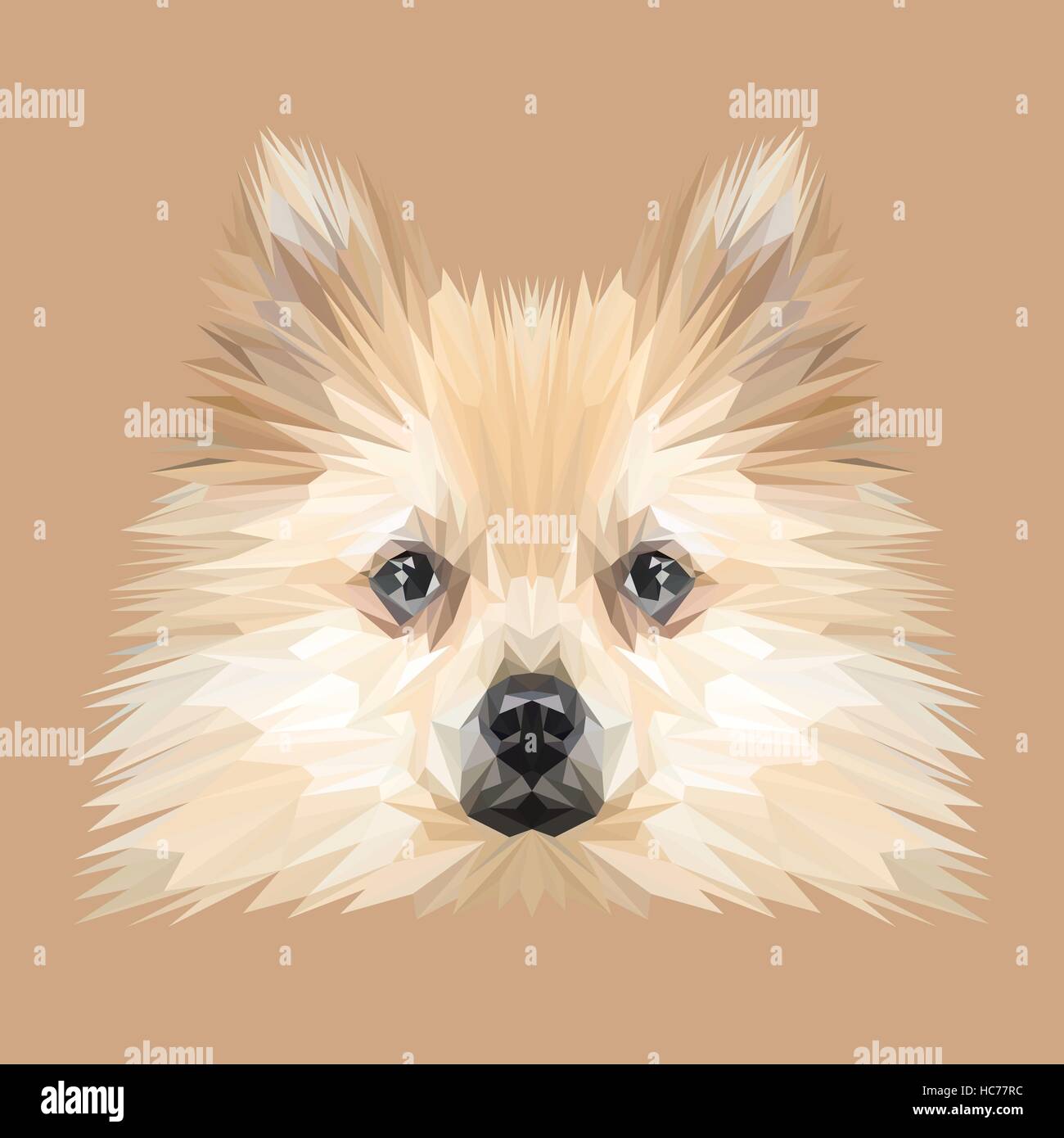 Spitz Dog Cartoon Illustration High Resolution Stock Photography and ...