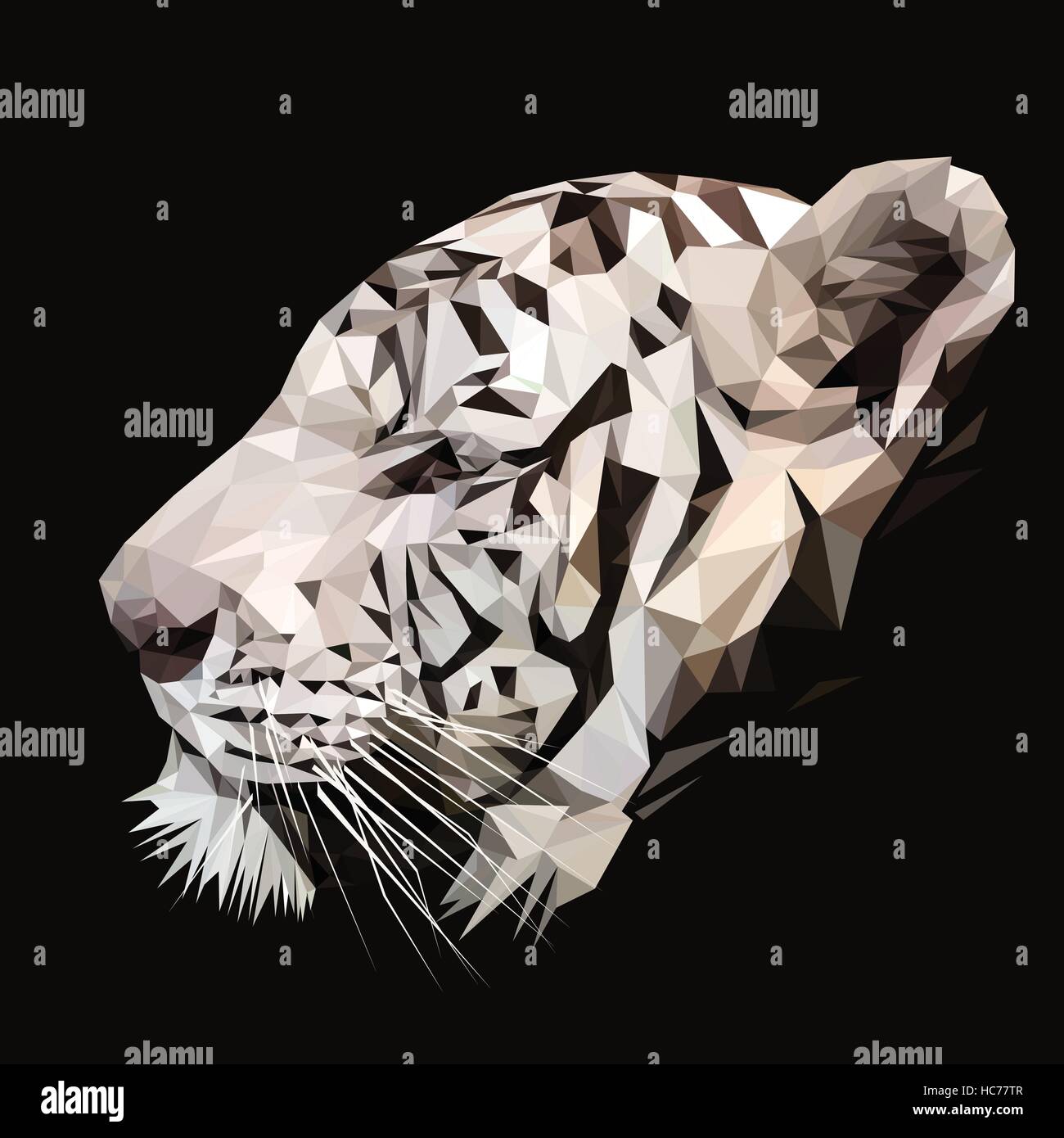 White Tiger low poly design. Triangle vector illustration Stock Vector ...