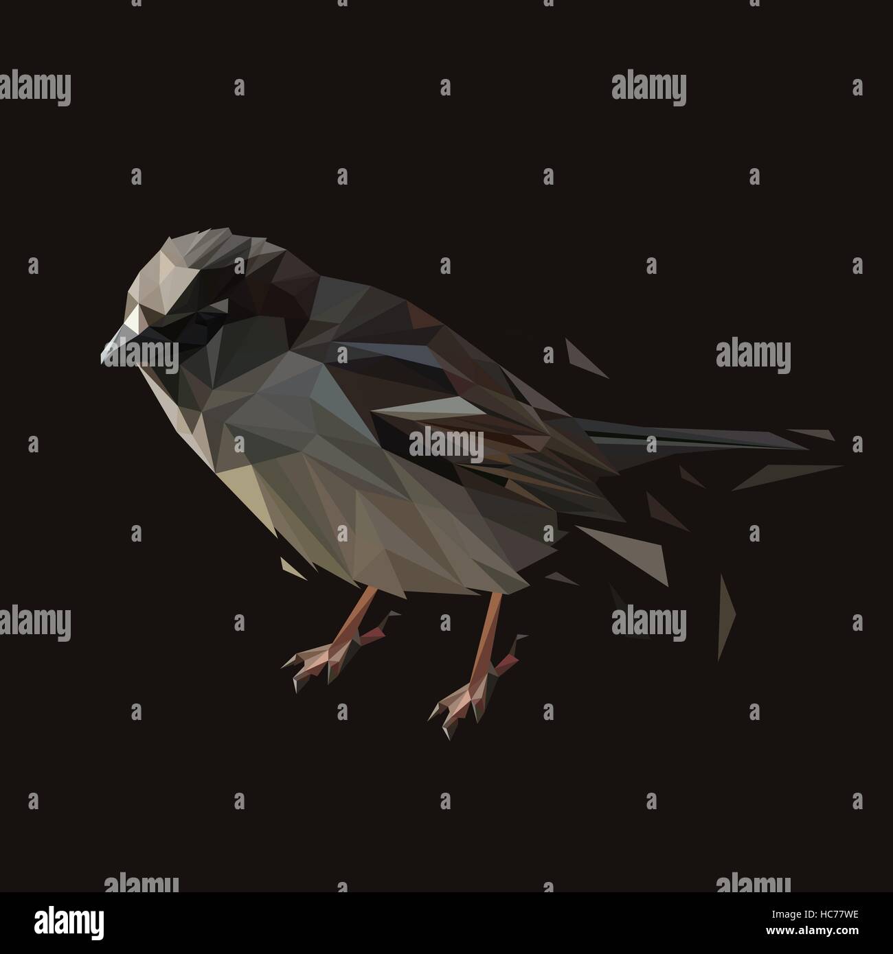 Sparrow bird low poly design. Triangle vector illustration Stock Vector ...