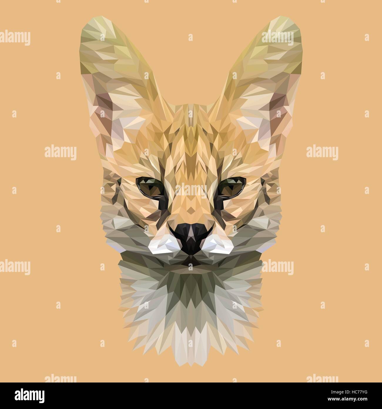 Wild cat low poly design. Triangle vector illustration Stock Vector ...