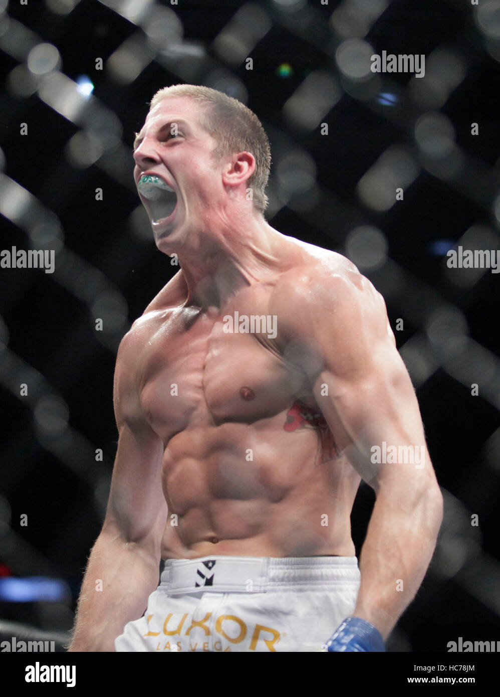 UFC fighter Matthew Riddle celebrates his victory over DaMarques ...