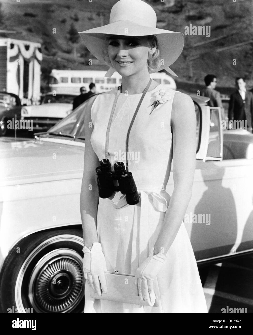 SPINOUT, Diane McBain, 1966 Stock Photo - Alamy