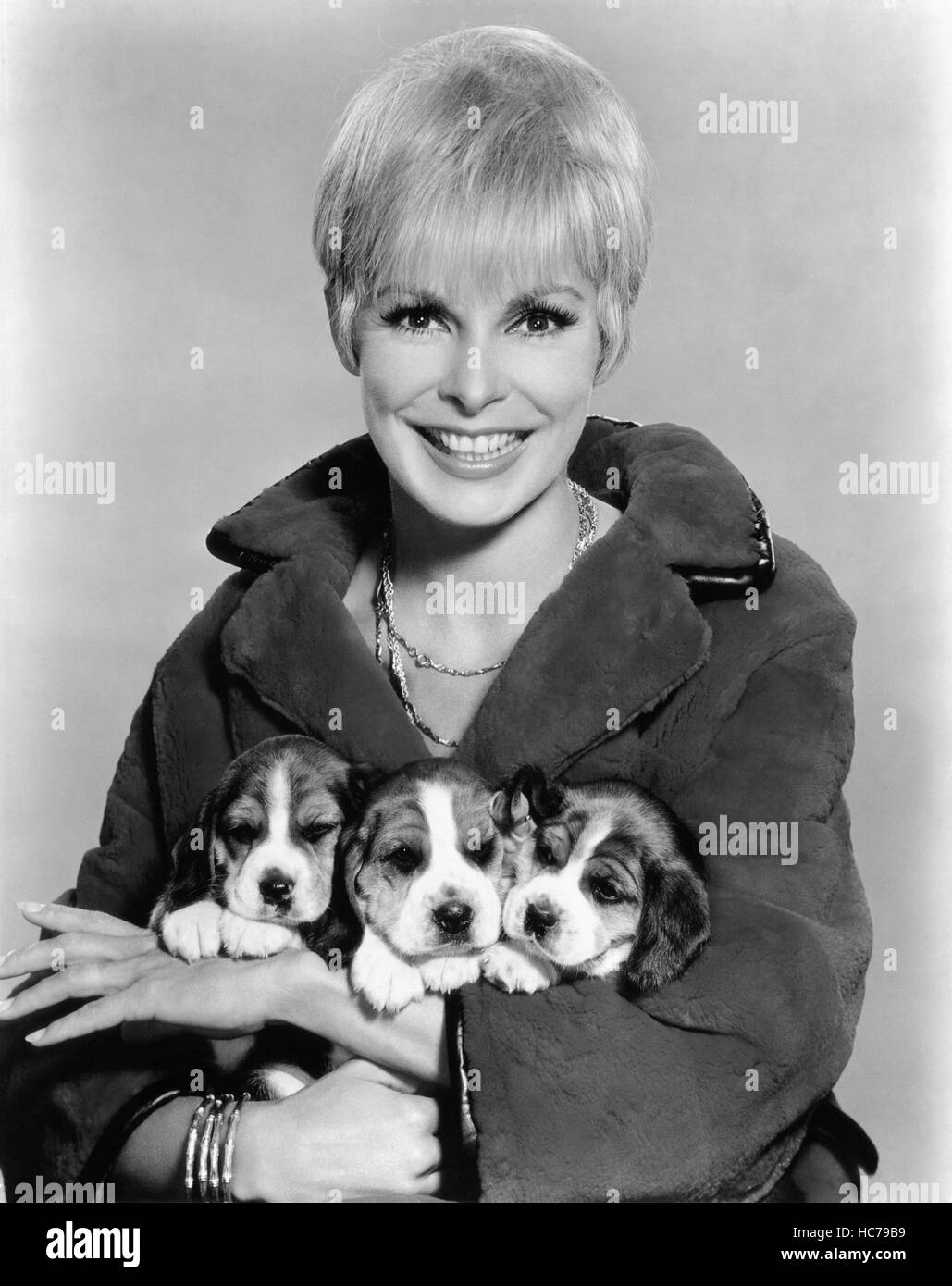 THE SPY IN THE GREEN HAT, Janet Leigh, 1968, TM and Copyright ©20th ...