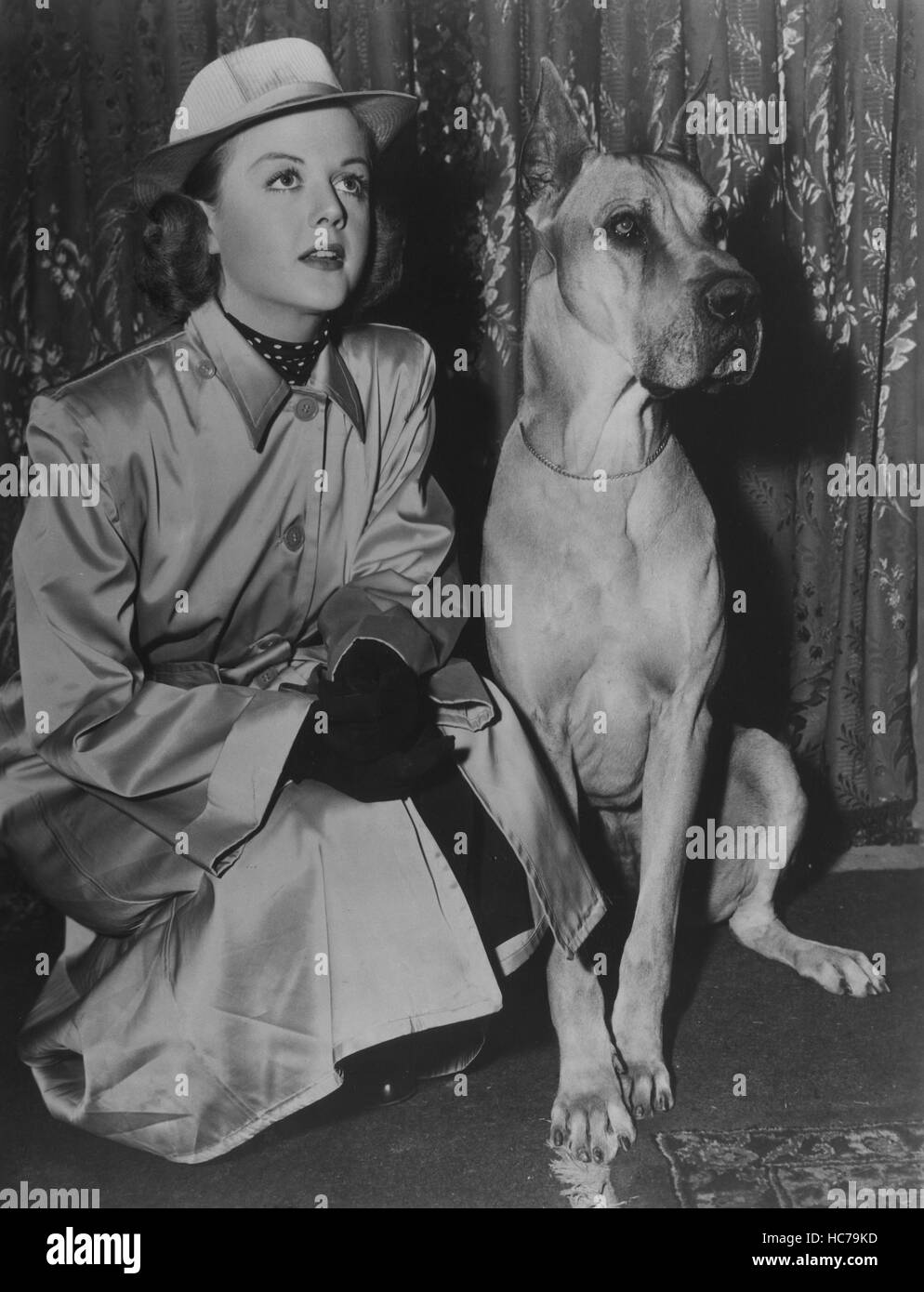 STATE OF THE UNION, Angela Lansbury with Great Dane, Duke, 1948 Stock ...
