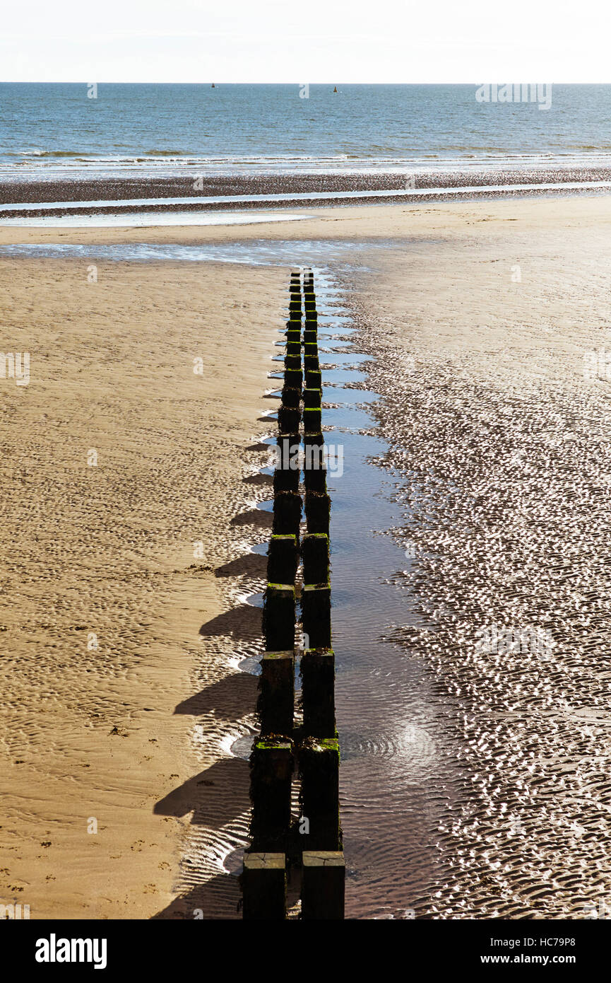Groynes at Bridlington, Yorkshire Stock Photo - Alamy