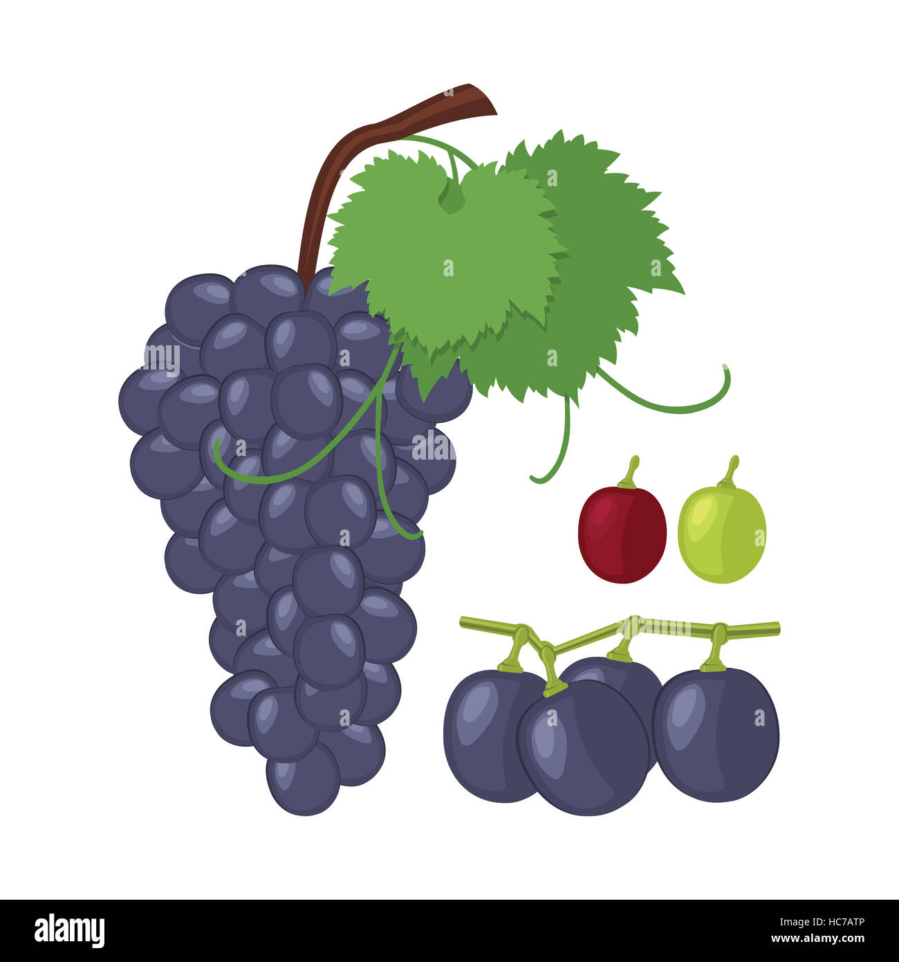 Bunch of grapes illustration Cut Out Stock Images & Pictures - Alamy