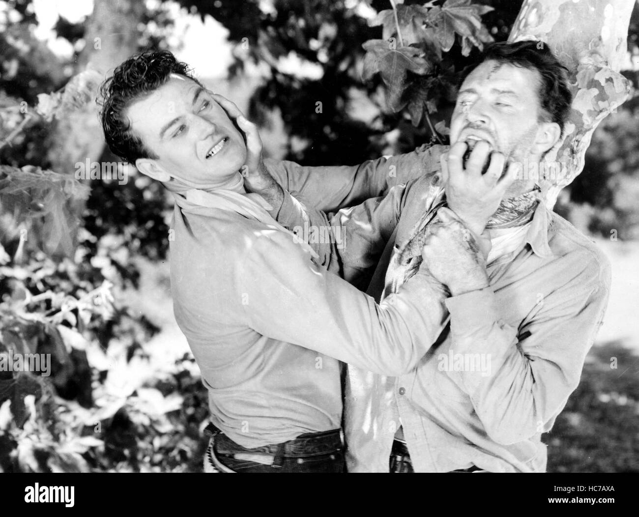 THE STAR PACKER, John Wayne, 1934 Stock Photo - Alamy