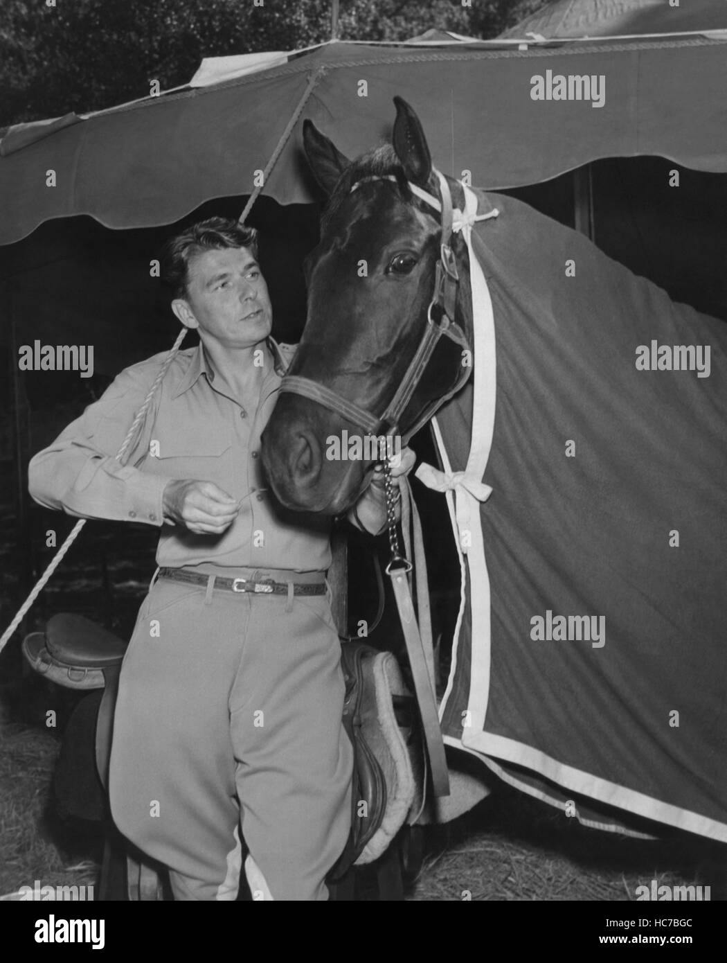 STALLION ROAD, Ronald Reagan, 1947 Stock Photo - Alamy