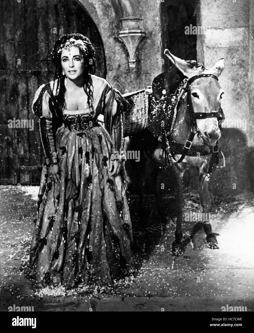 THE TAMING OF THE SHREW, Elizabeth Taylor, 1967 Stock Photo - Alamy
