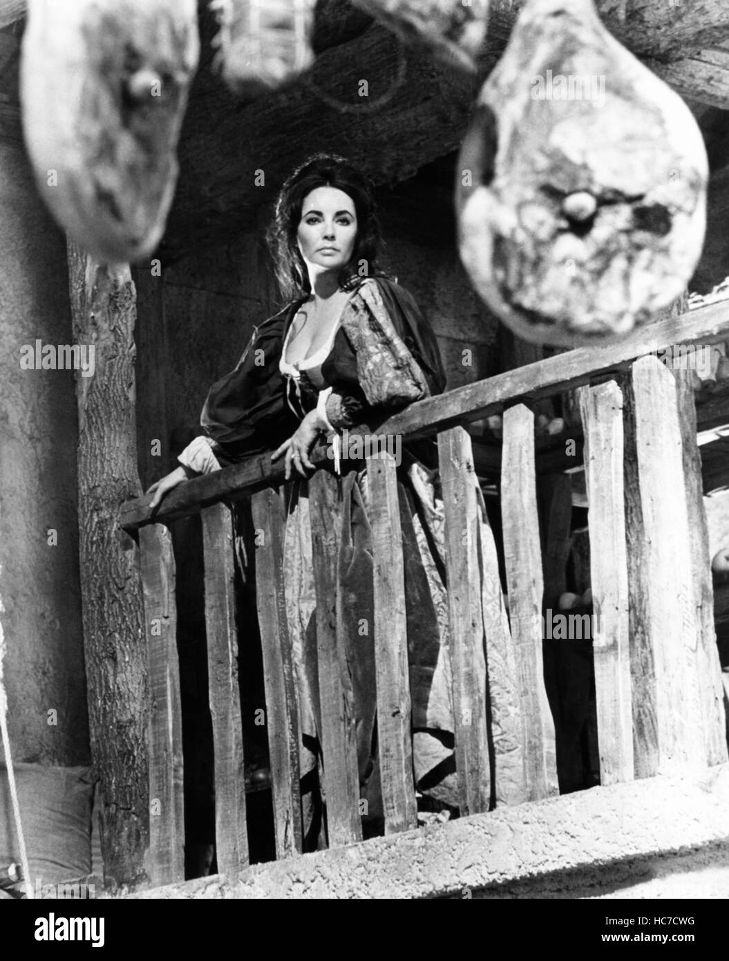 THE TAMING OF THE SHREW, Elizabeth Taylor, 1967 Stock Photo - Alamy