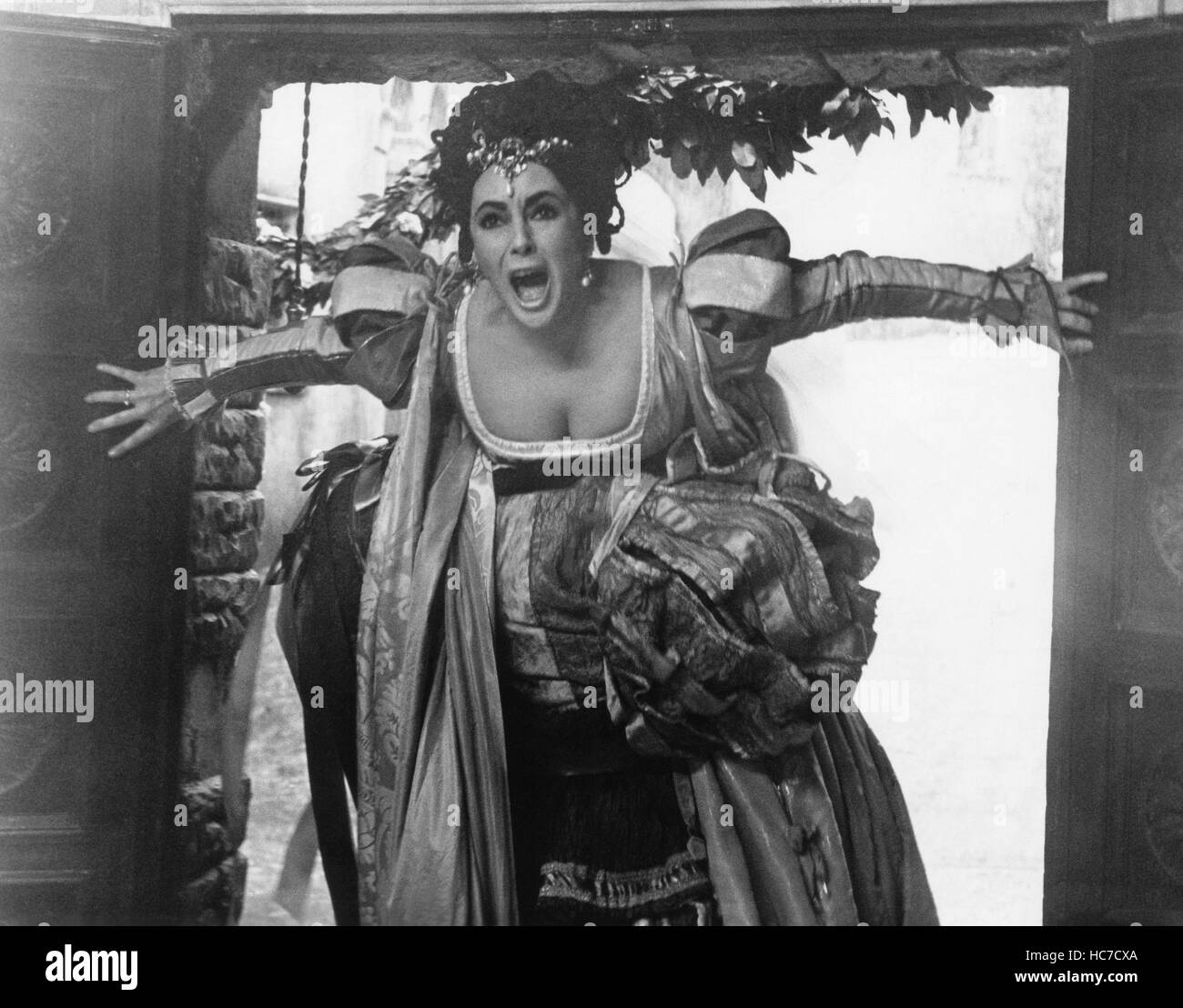 THE TAMING OF THE SHREW, Elizabeth Taylor, 1967 Stock Photo - Alamy