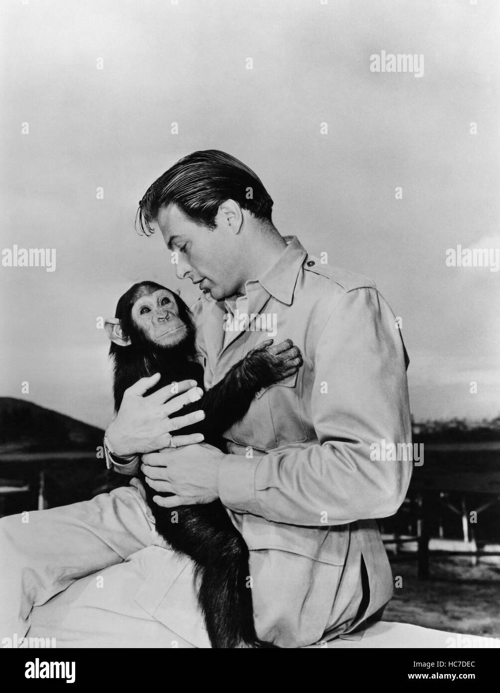 TARZAN'S PERIL, Lex Barker, 'Zachary the chimp,' on-set, 1951 Stock ...