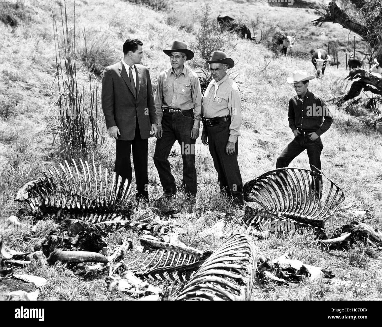 TARANTULA, from left: John Agar, Steve Darrell, Nestor Paiva, Bing ...