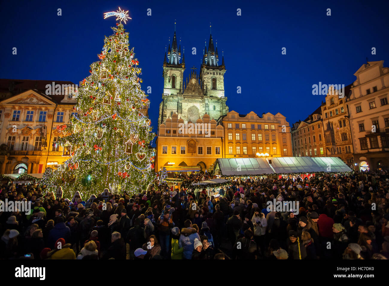 Old town square Christmas market with Christmas tree in Prague, Czech ...