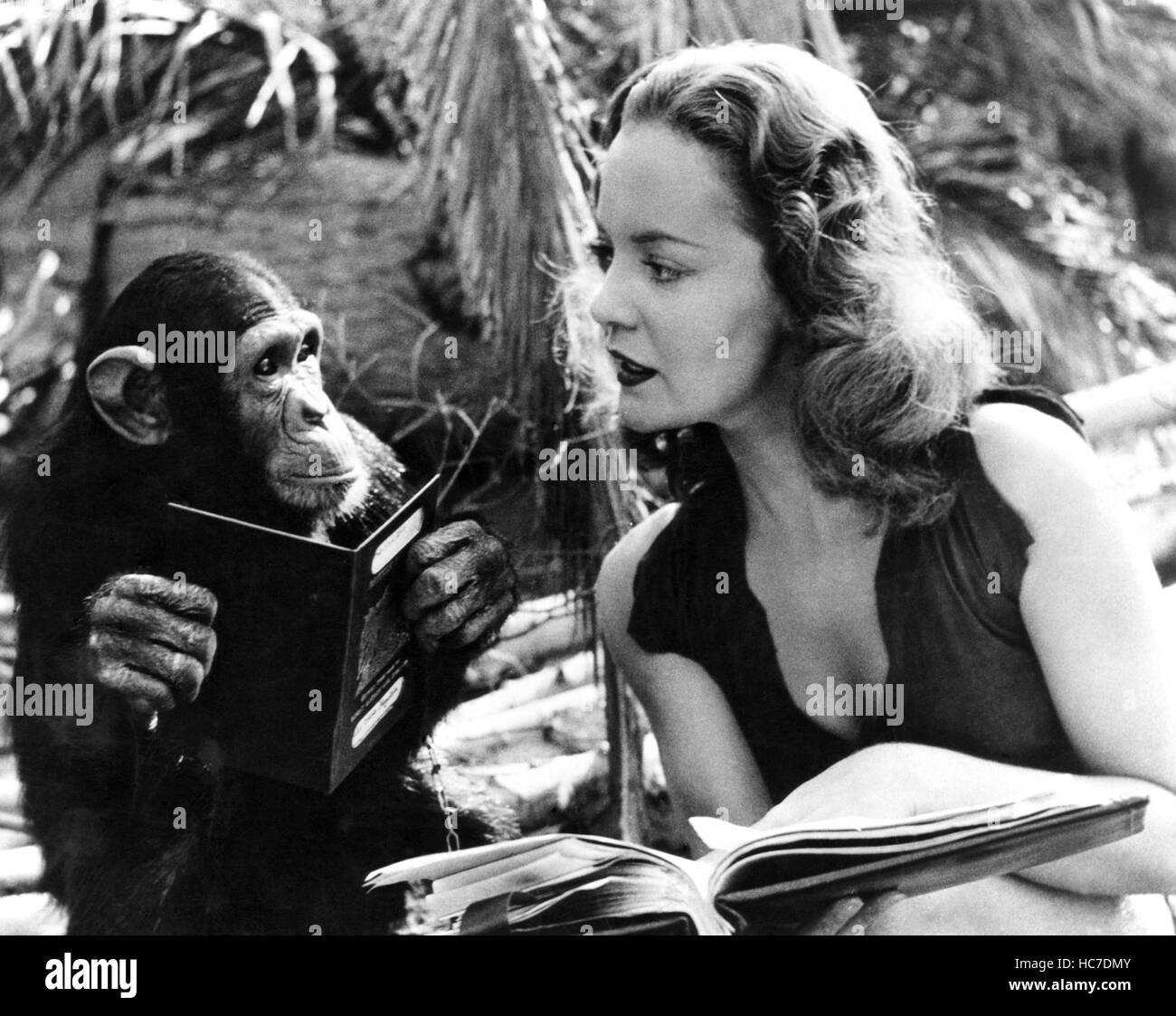 TARZAN'S SAVAGE FURY, Dorothy Hart with chimp between scenes, 1952 ...