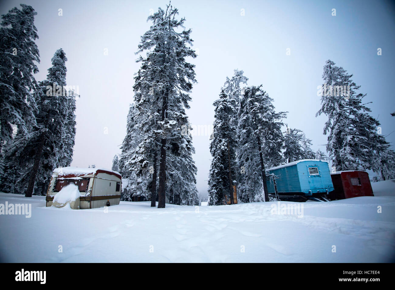 Winter landscape with snow covered caravans between pine trees Stock ...
