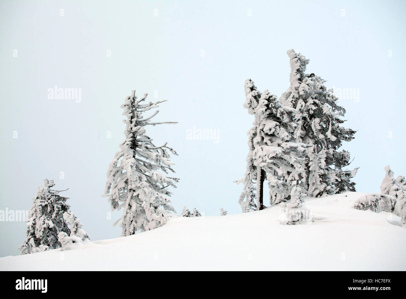 Winter landscape with snow covered hill and cloudy blue sky Stock Photo ...