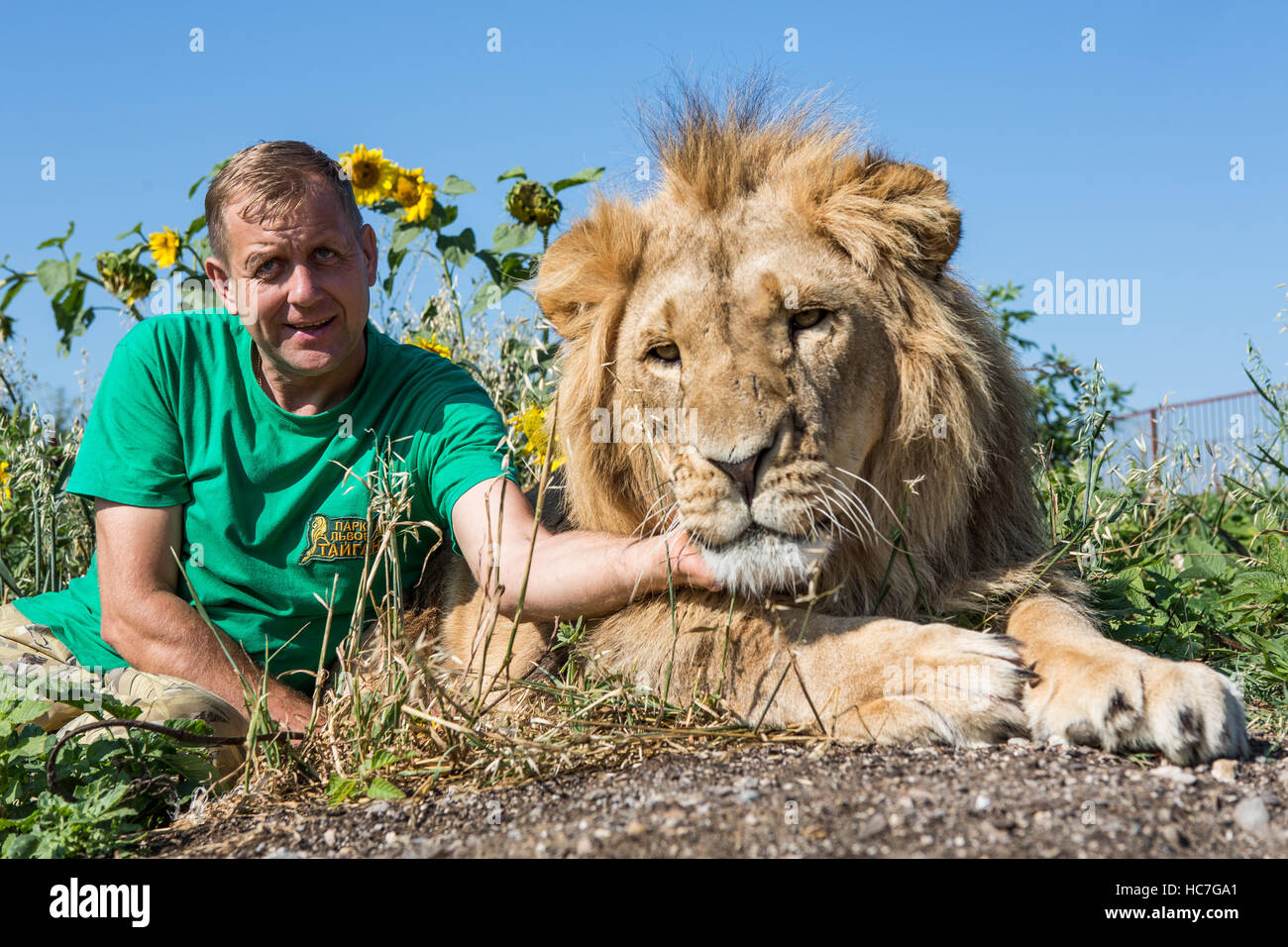 Man lion sitting together in hi-res stock photography and images - Alamy