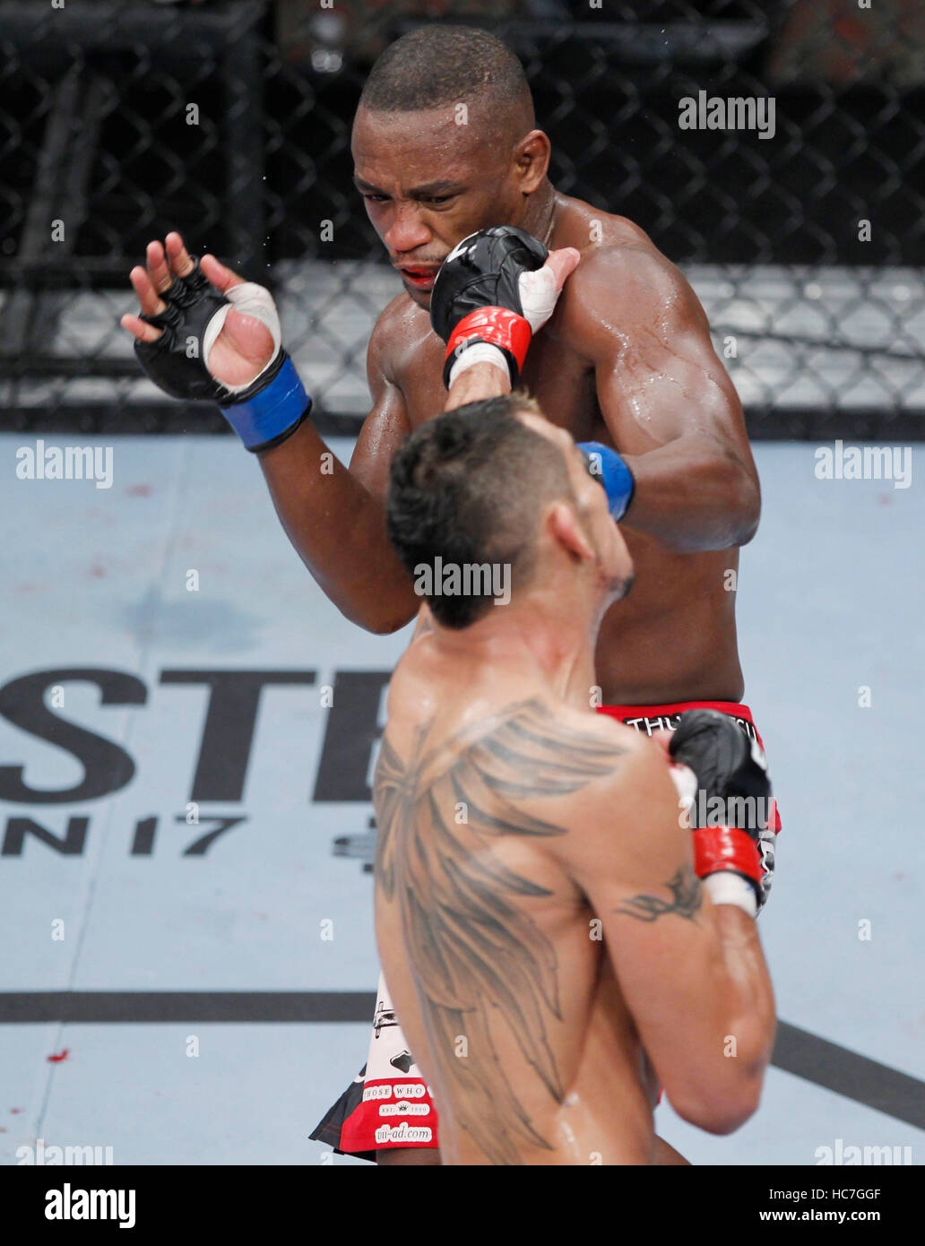 The ultimate fighter finale hi-res stock photography and images - Alamy