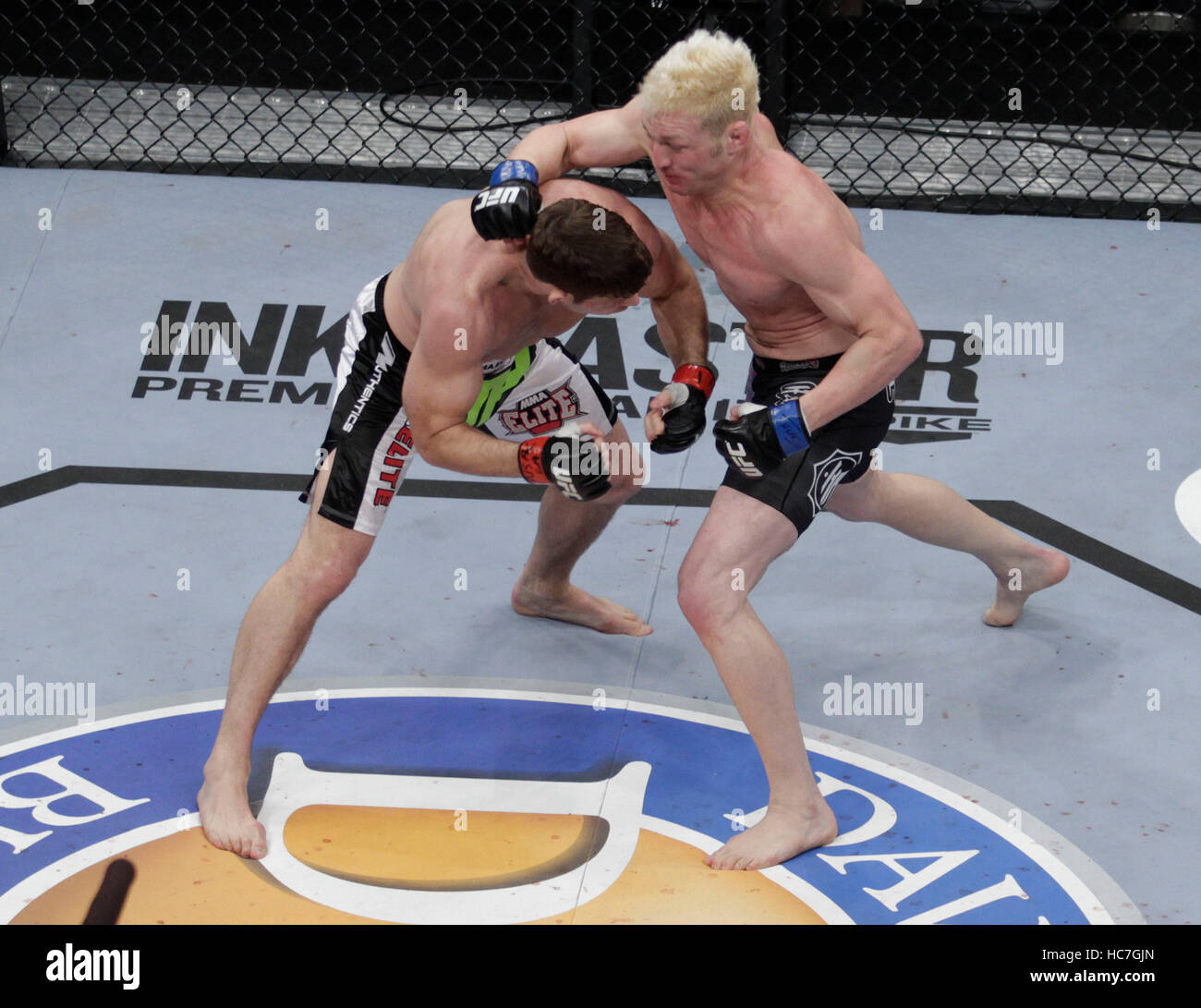 Michael Bisping, left, fights Jason Miller at The Ultimate Fighter 14 ...