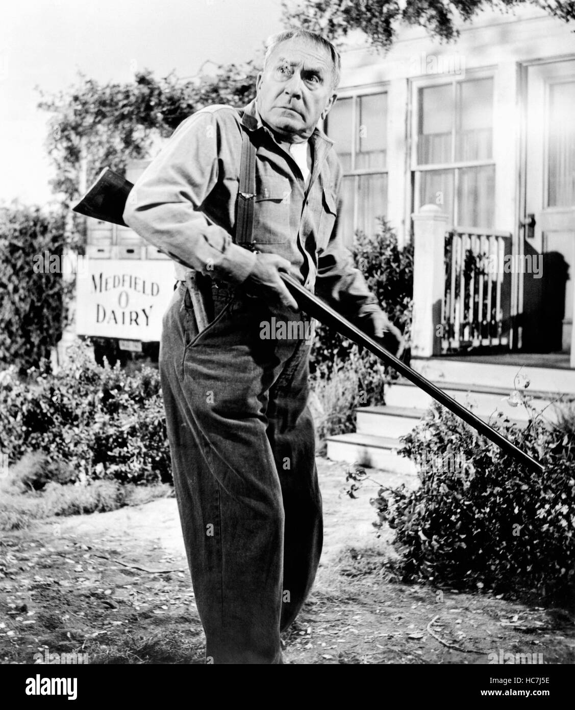 SON OF FLUBBER, William Demarest, 1963 Stock Photo - Alamy