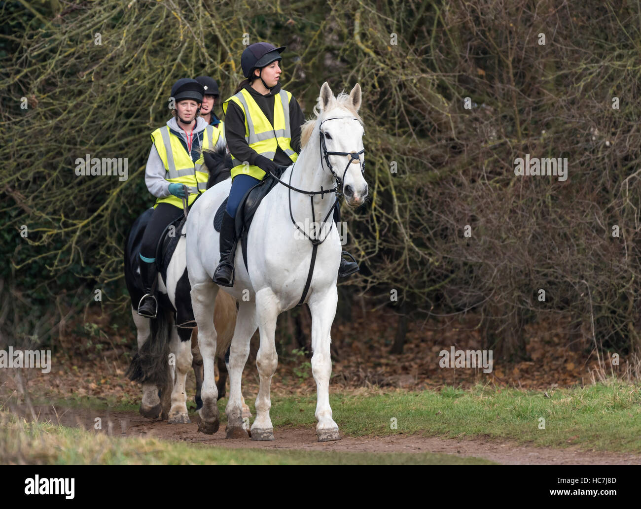 White dayglow hi-res stock photography and images - Alamy