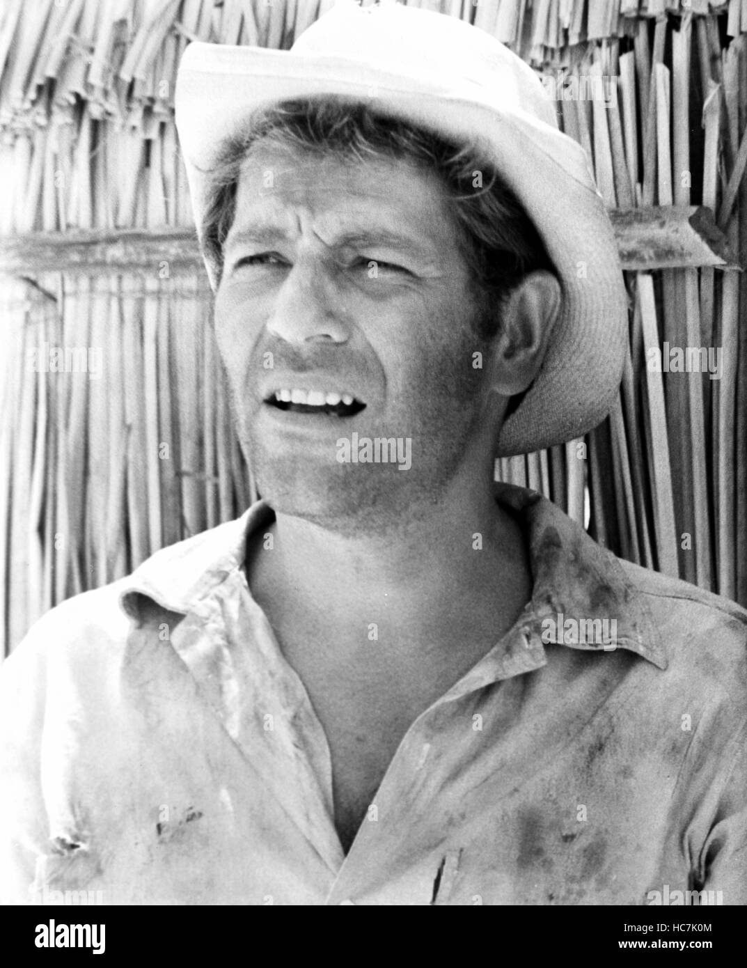 THE SOUTHERN STAR, George Segal, 1969 Stock Photo - Alamy