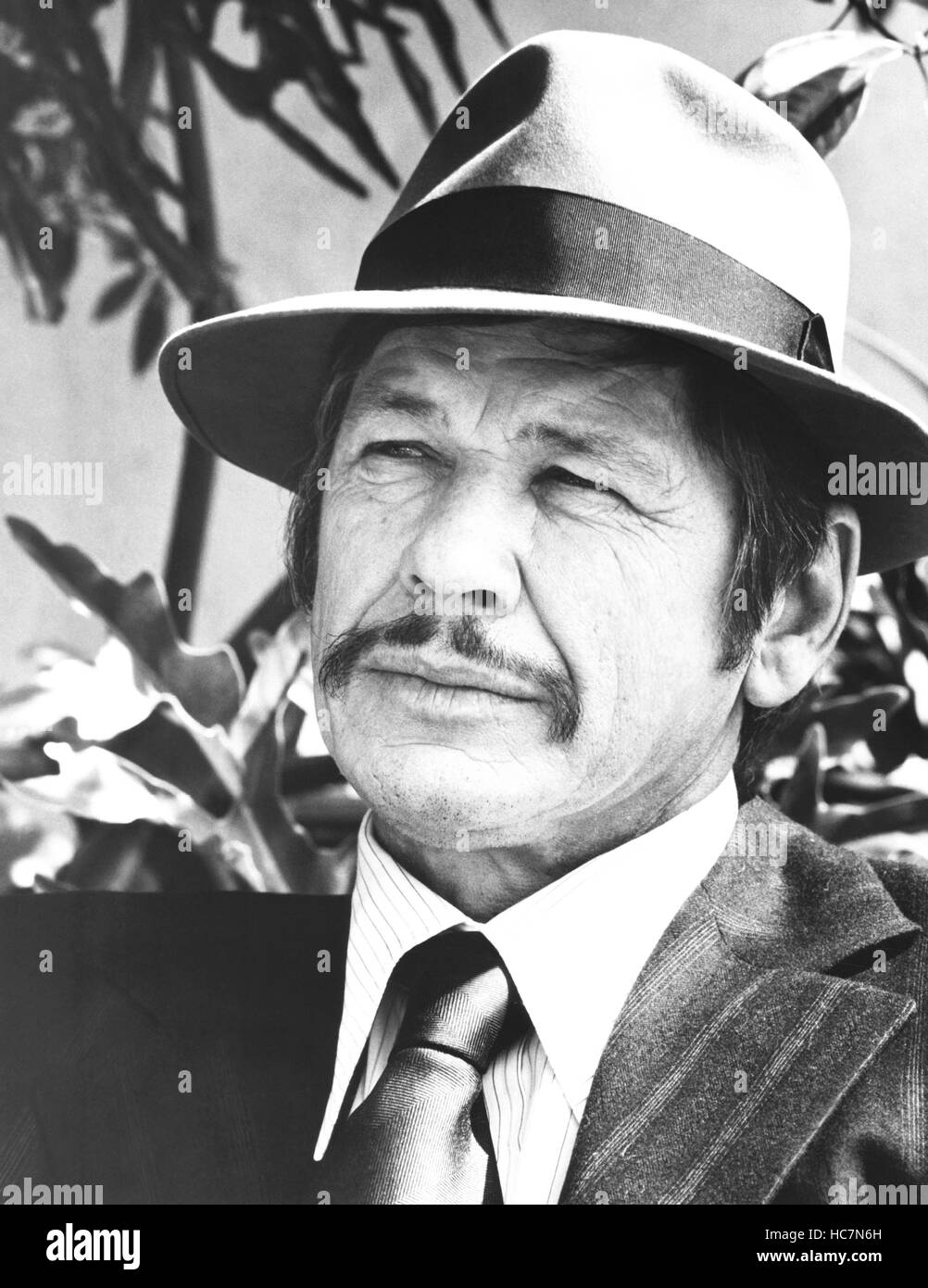 THE STONE KILLER, Charles Bronson, 1973 Stock Photo - Alamy