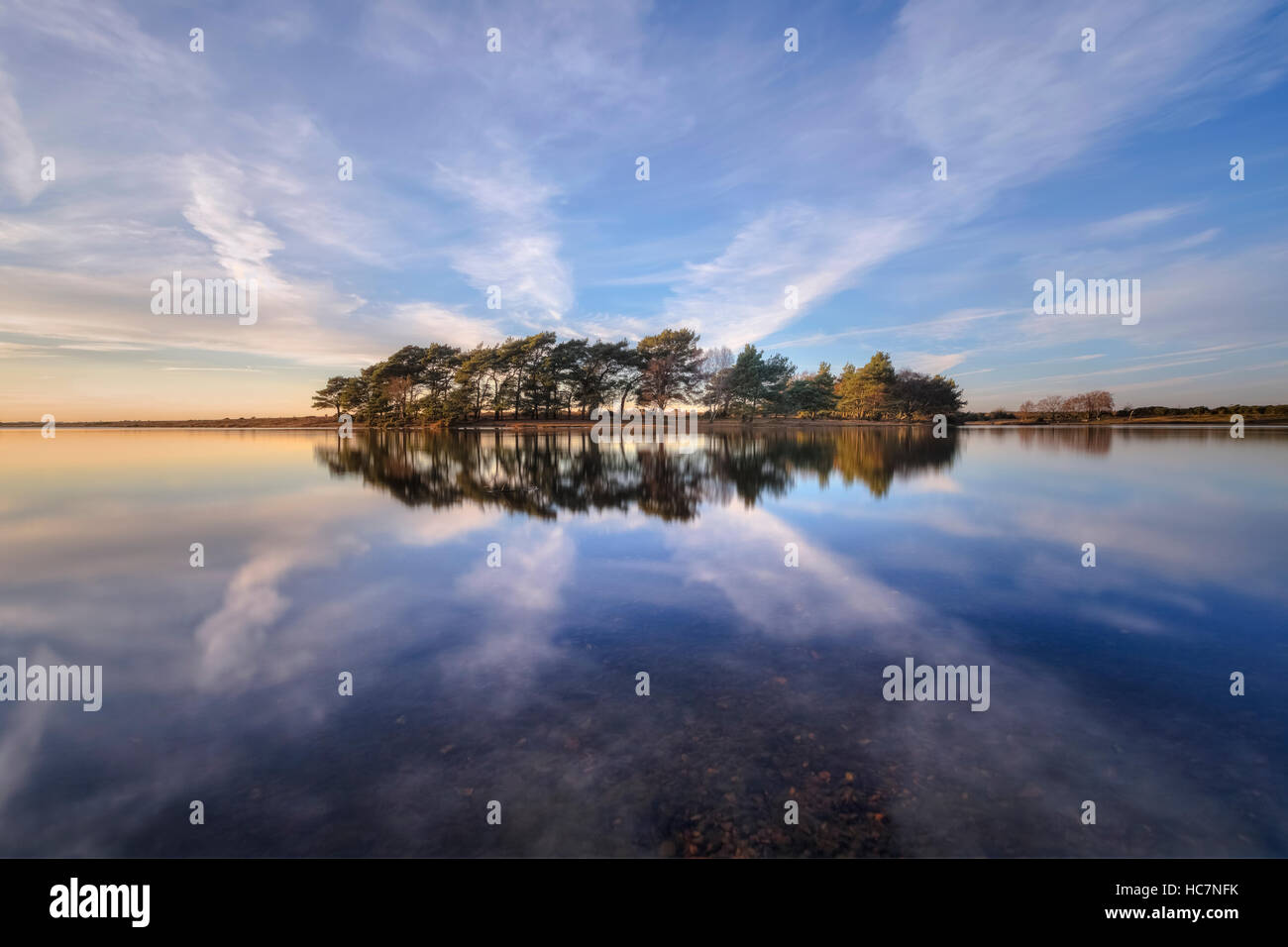 Hatchet Pond, New Forest National Park, Beaulieu, Hampshire, England ...