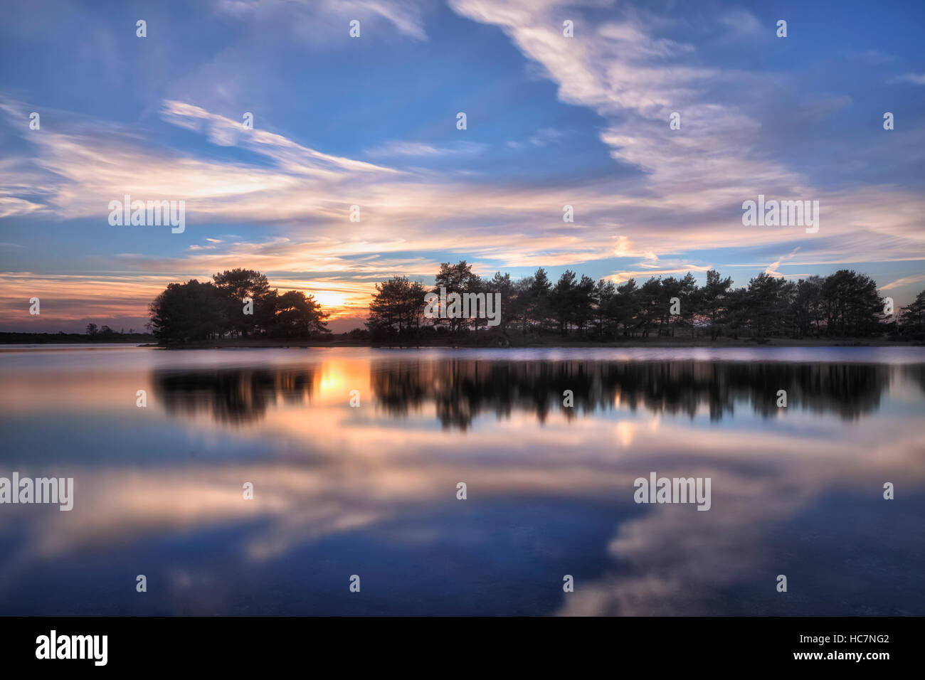 Hatchet Pond, New Forest National Park, Beaulieu, Hampshire, England ...