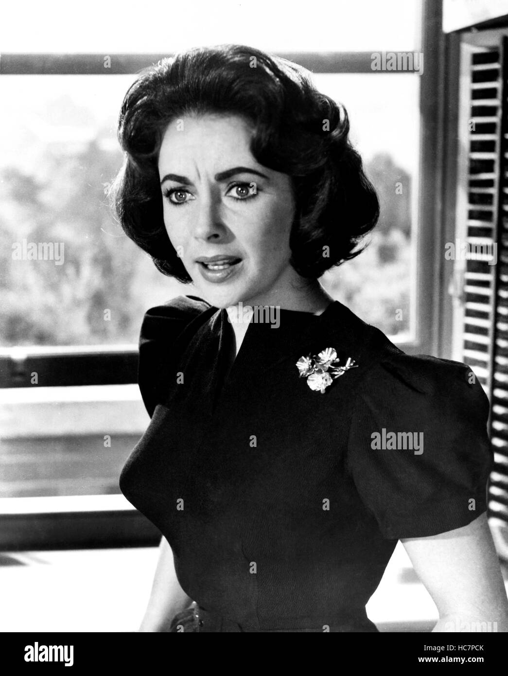 SUDDENLY LAST SUMMER, Elizabeth Taylor, 1959 Stock Photo - Alamy