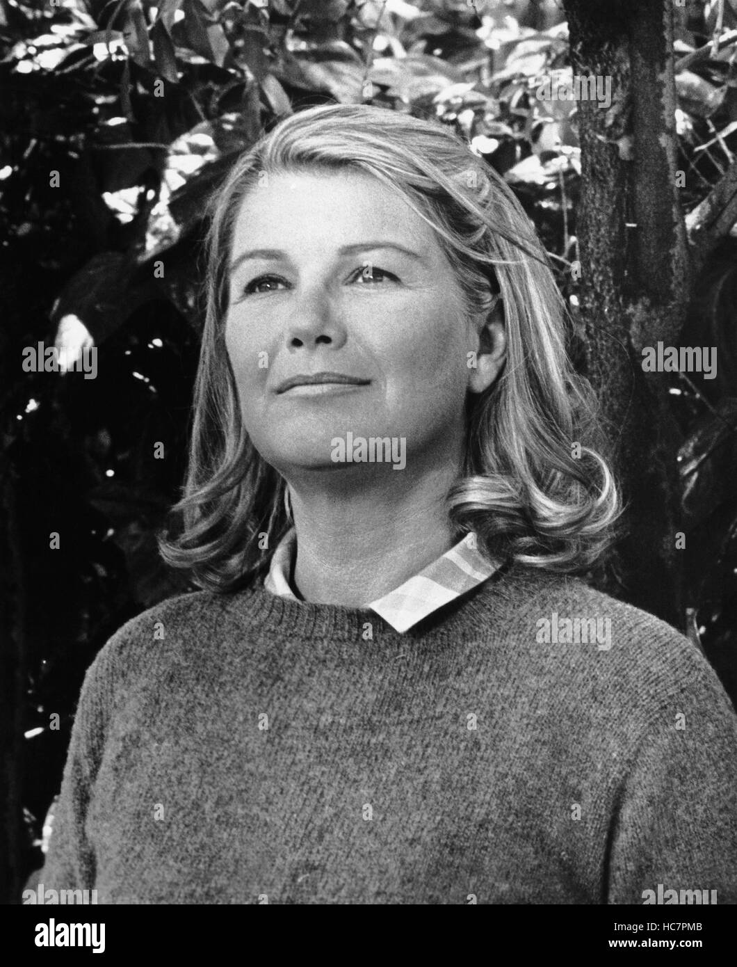 SUMMERTREE, Barbara Bel Geddes, 1971 Stock Photo - Alamy