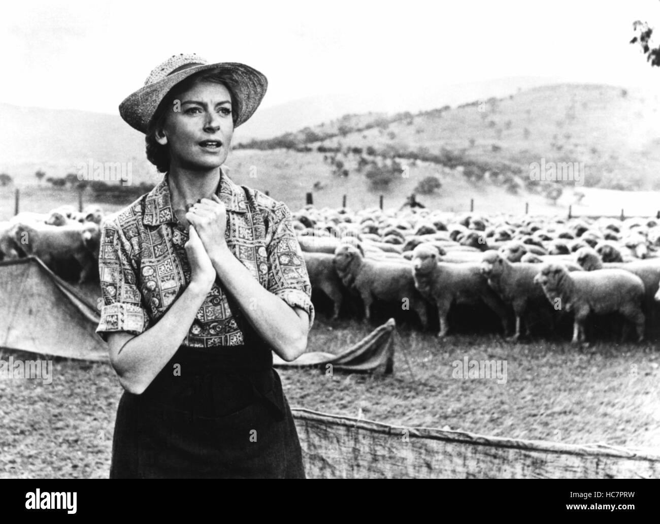 THE SUNDOWNERS, Deborah Kerr, 1960 Stock Photo - Alamy
