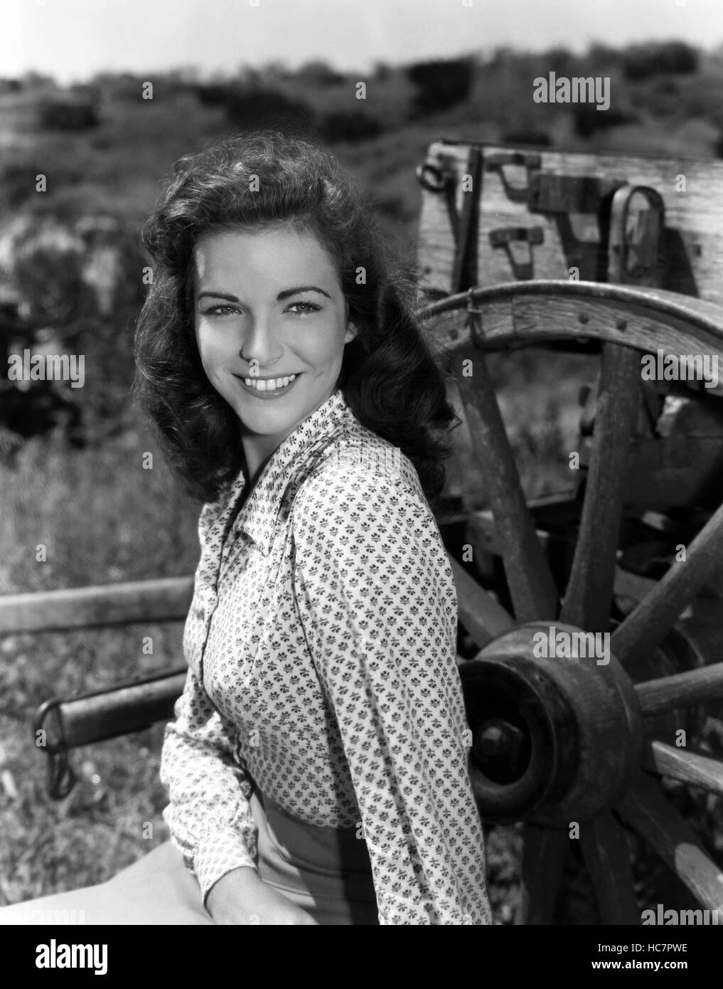 THE SUNDOWNERS, Cathy Downs, 1950 Stock Photo - Alamy