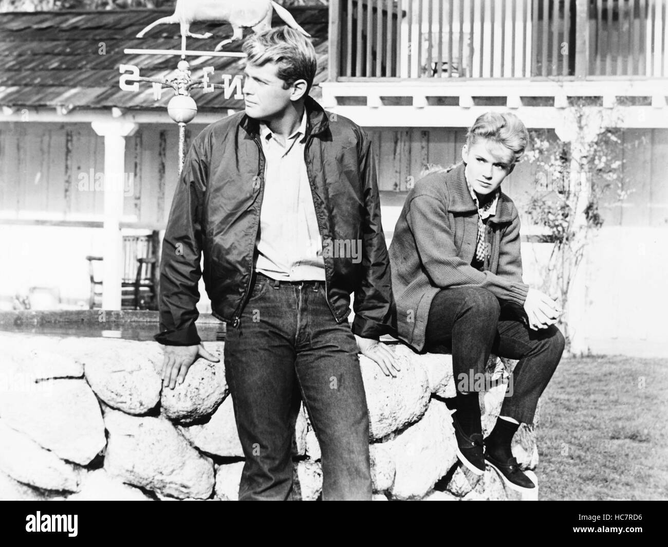 SUSAN SLADE, from left: Troy Donahue, Connie Stevens, 1961 Stock Photo ...