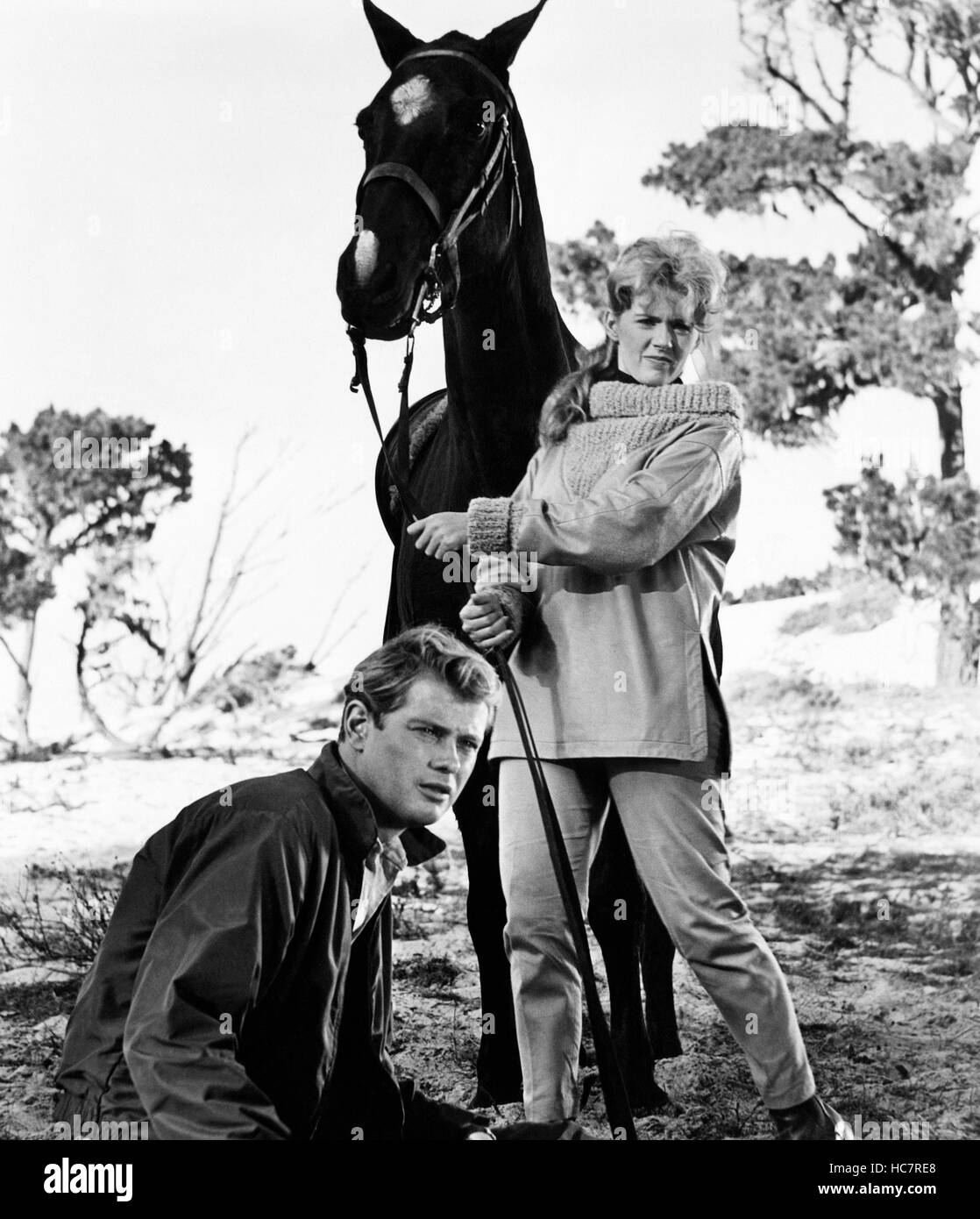 SUSAN SLADE, from left, Troy Donahue, Connie Stevens, 1961 Stock Photo ...