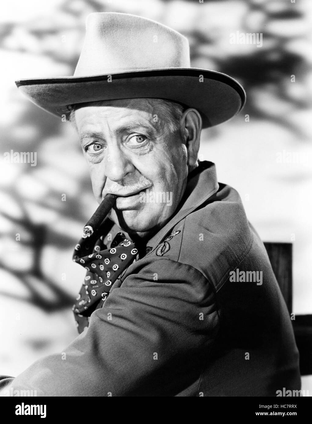 SWING THE WESTERN WAY, Thurston Hall, 1947 Stock Photo - Alamy