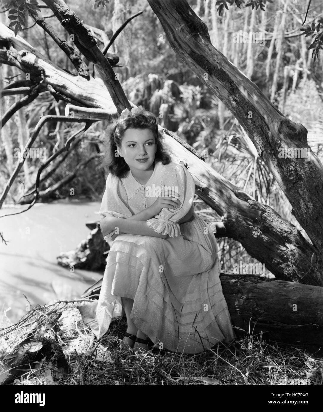 SWAMP WATER, Anne Baxter, 1941, ©20th Century Fox, TM & Copyright ...