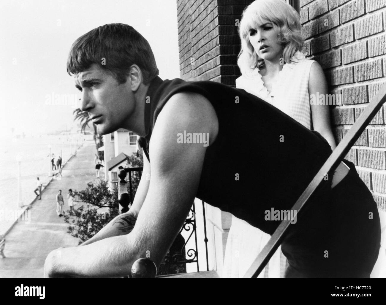 SYNANON, from left, Alex Cord, Stella Stevens, 1965 Stock Photo - Alamy
