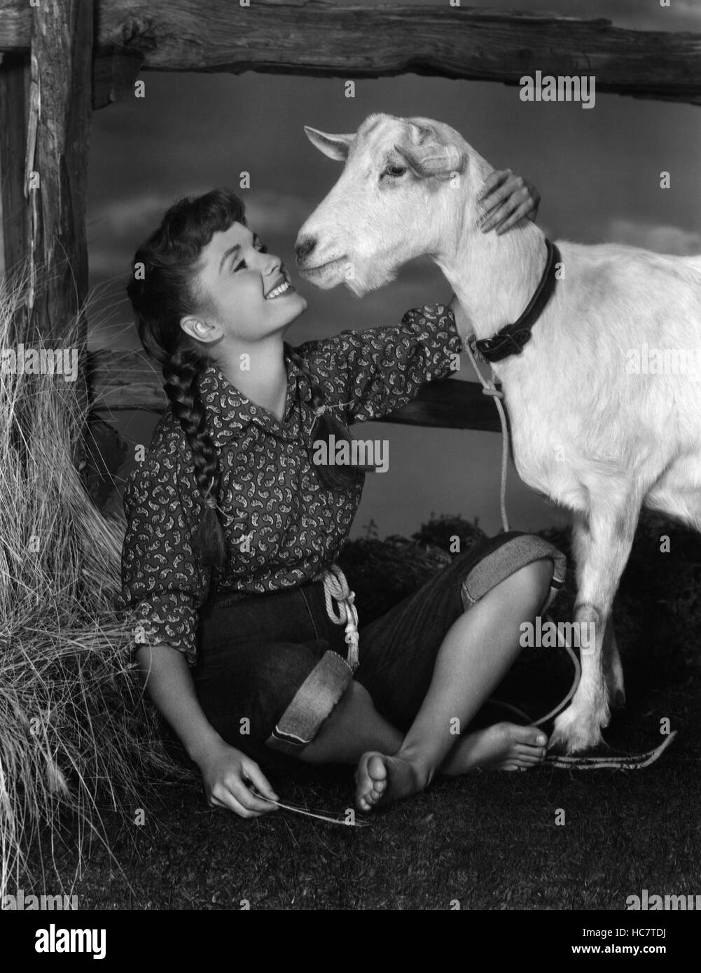 TAMMY AND THE BACHELOR, Debbie Reynolds, 1957 Stock Photo - Alamy