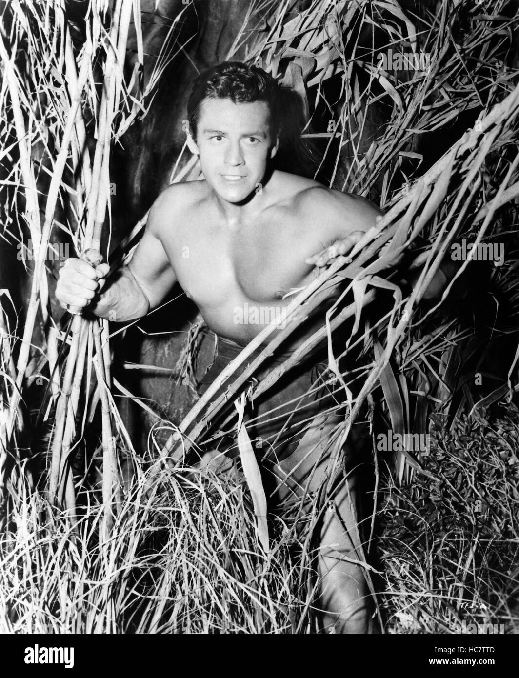 TARZAN'S FIGHT FOR LIFE, Gordon Scott, 1958 Stock Photo - Alamy