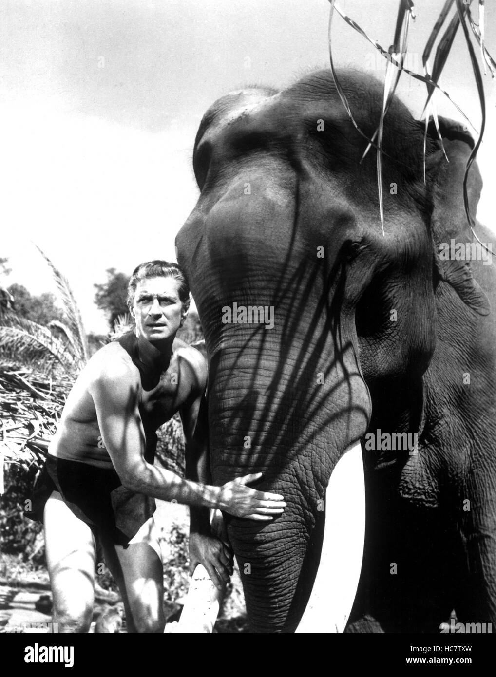 TARZAN GOES TO INDIA, Jock Mahoney, 1962 Stock Photo - Alamy