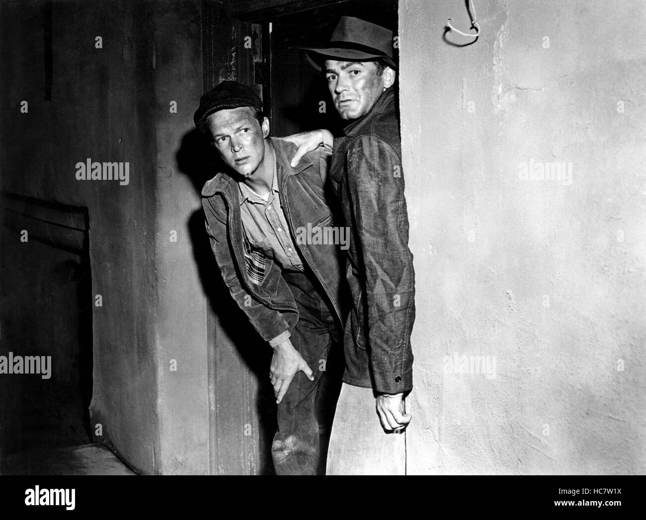 TARGET UNKNOWN, from left, Alex Nicol, Mark Stevens, 1951 Stock Photo ...