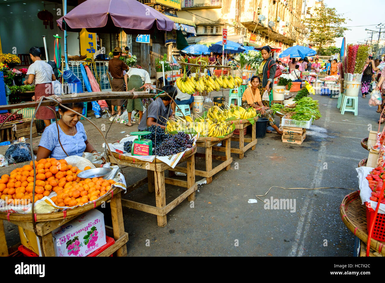Burmese grape fruit hi-res stock photography and images - Alamy